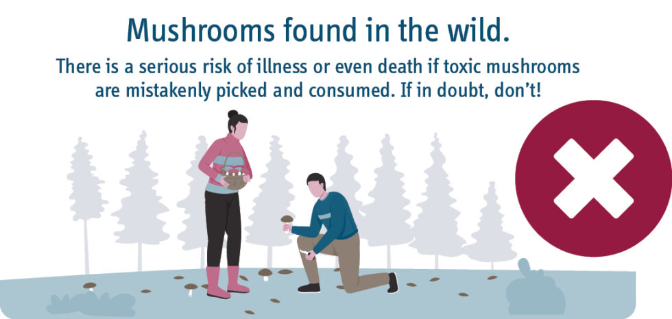 Mushroom safety | Australian Mushrooms